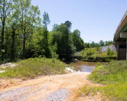 Iron Bridge Sepulga Canoe Trail, Piney Woods Birding Trail